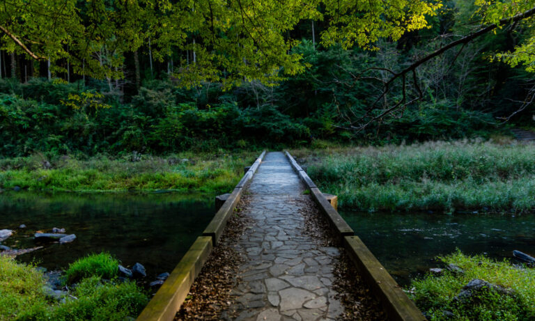 Fluke Forest – 電気機器メーカーのフルークフォレスト