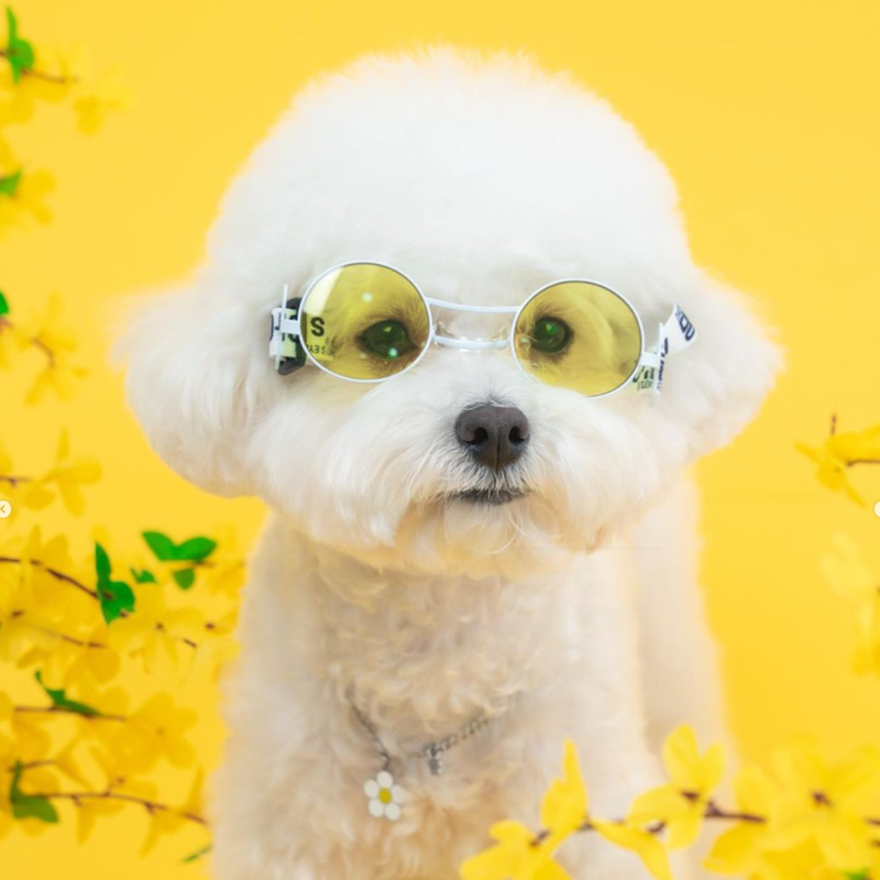 Fluke Forest – 電気機器メーカーのフルークフォレスト