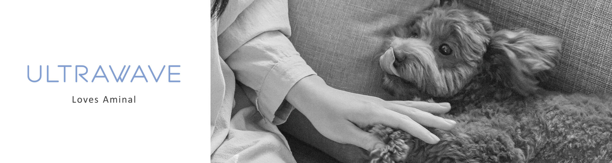 Fluke Forest – 電気機器メーカーのフルークフォレスト